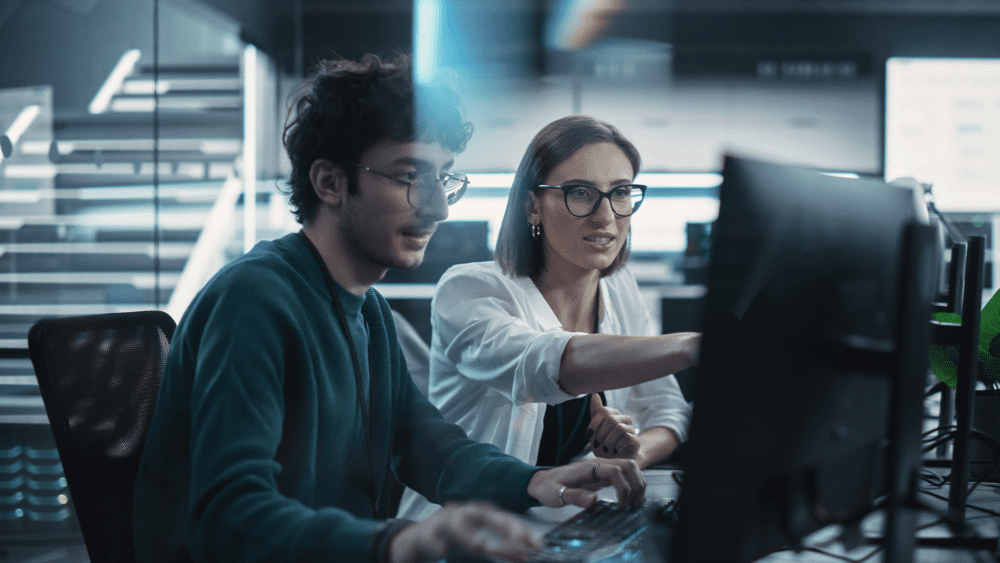 Software Development Lifecycle