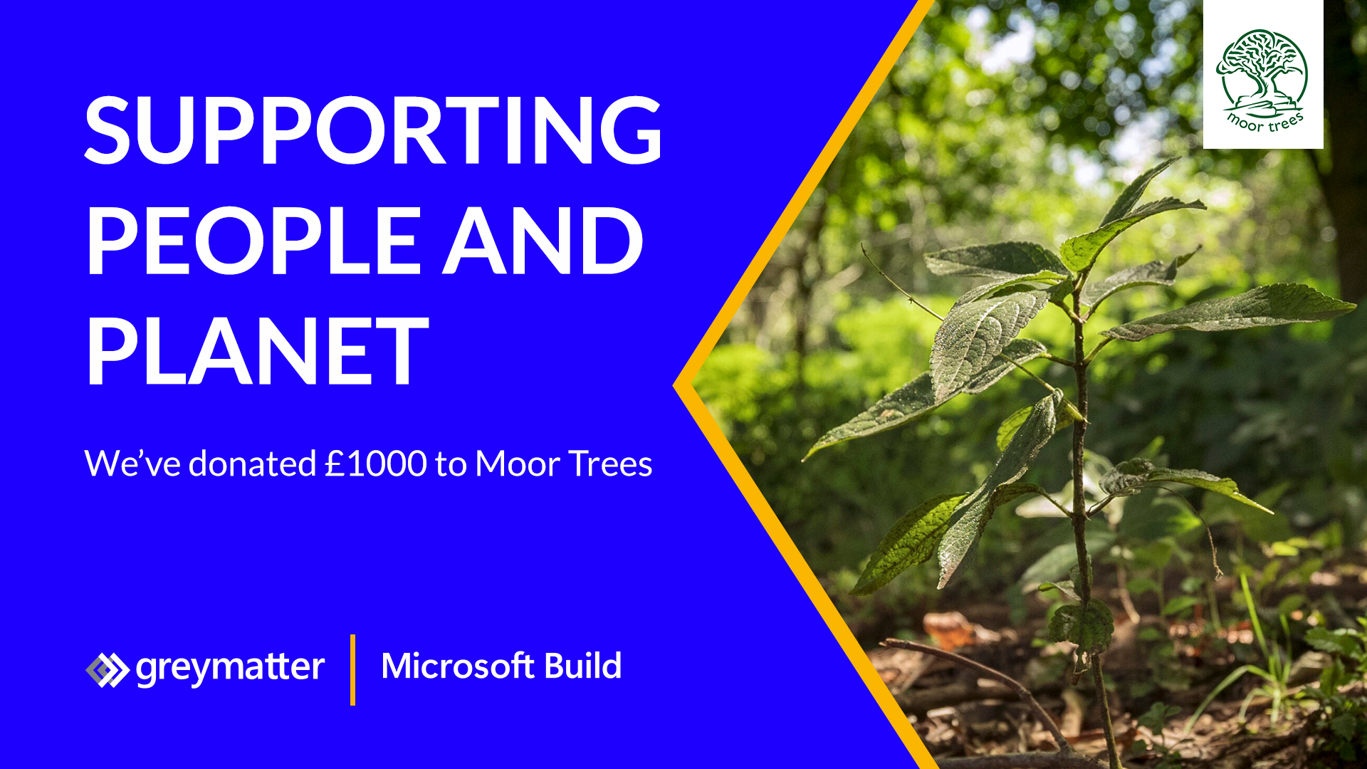 Our Donation to Moor Trees - Grey Matter